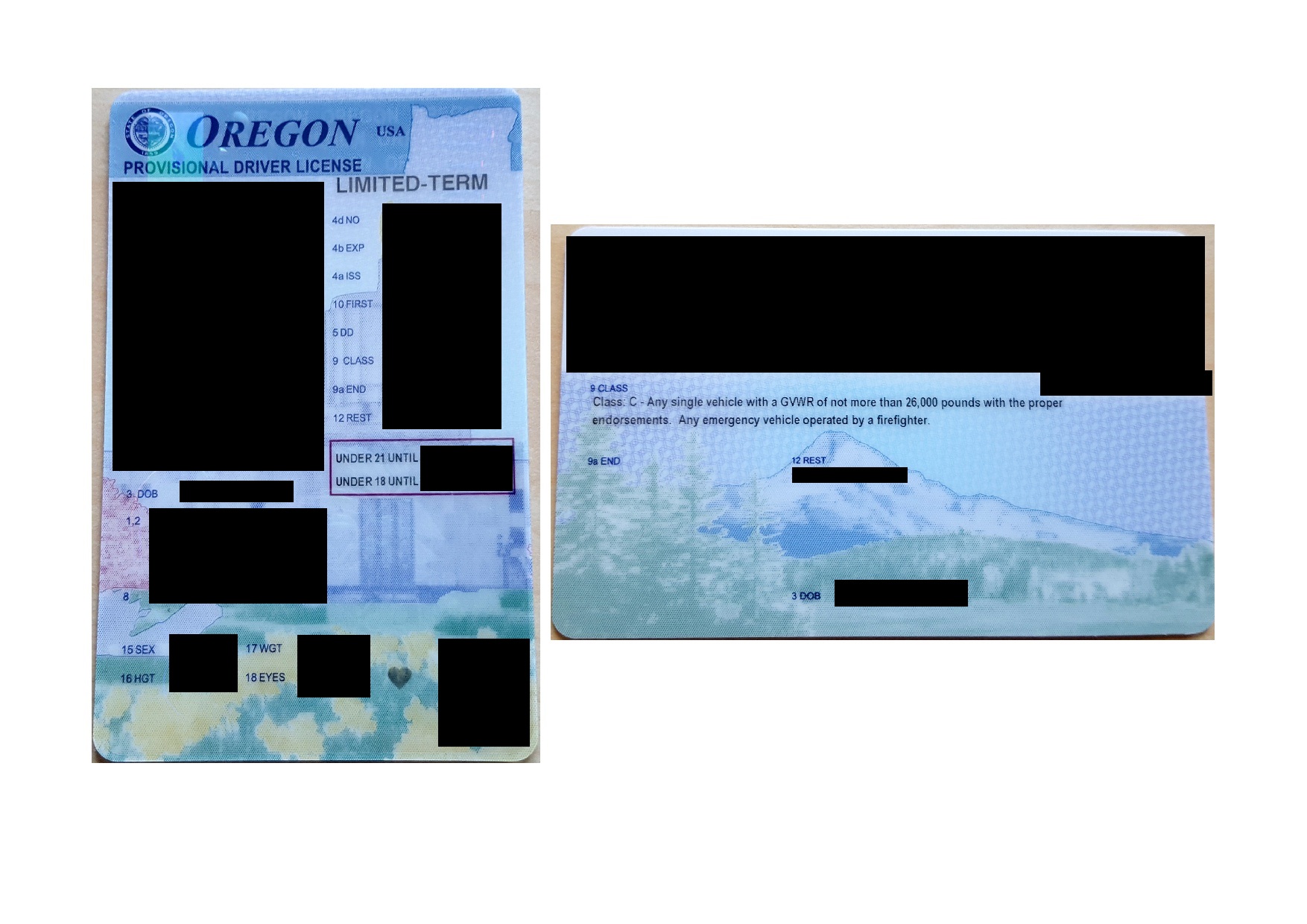 Driver License (USA) [Scheckkartenformat] - Beglaubigte Übersetzungen